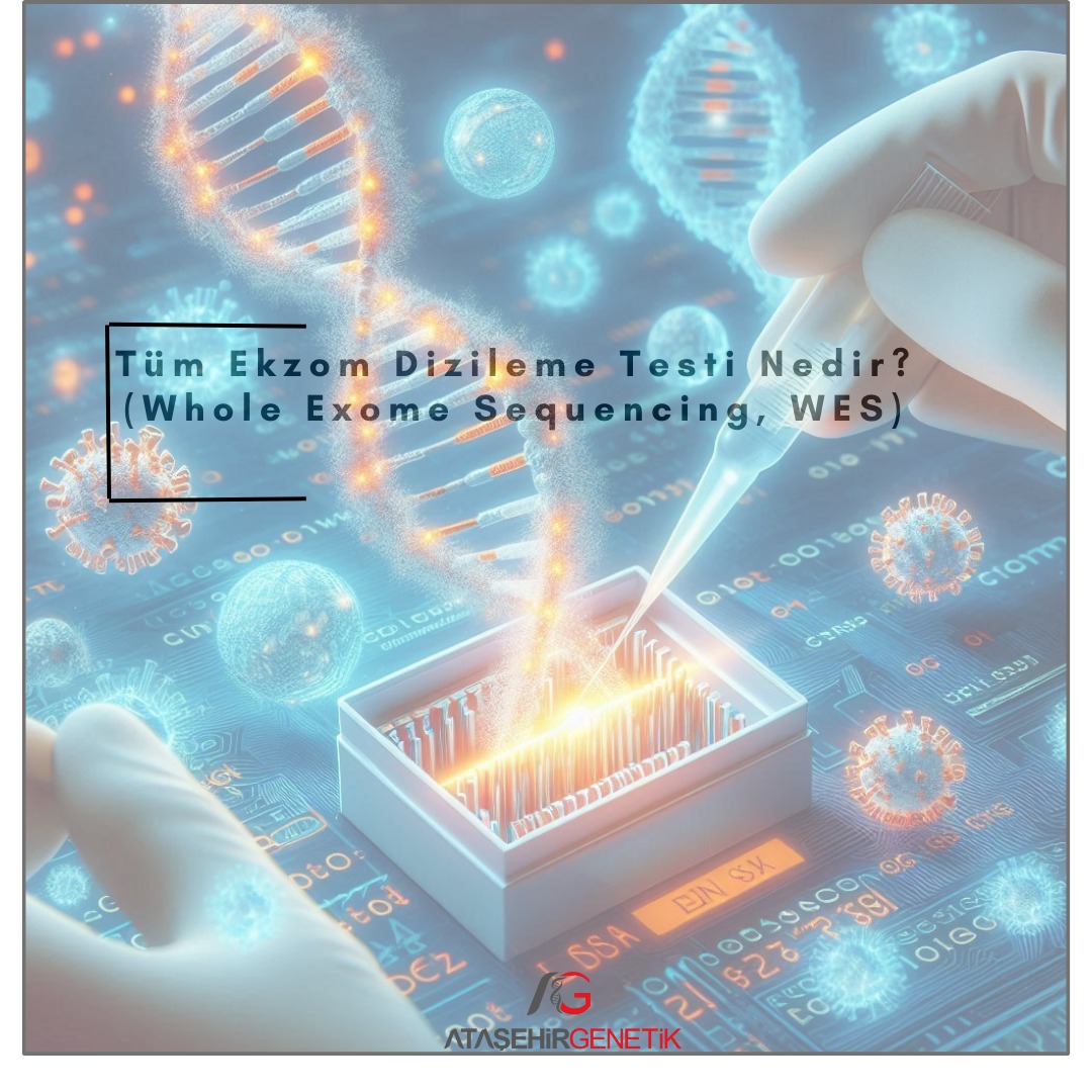 Ataşehir Genetik Blog - Tüm Ekzom Dizileme Testi Nedir?